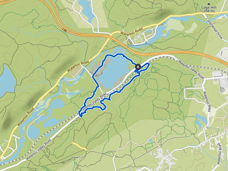 Tilcon Lake Loop – Allamuchy Mountain State Park | wandeling | Komoot